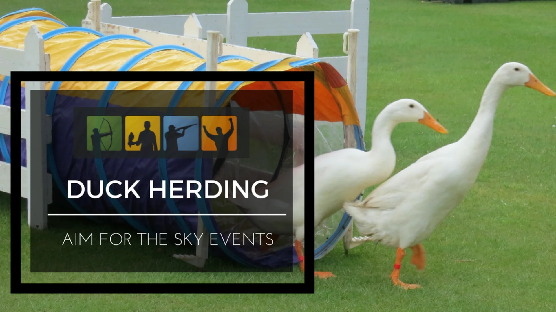 How to Win at a Duck Herding Team Building Event. on Vimeo