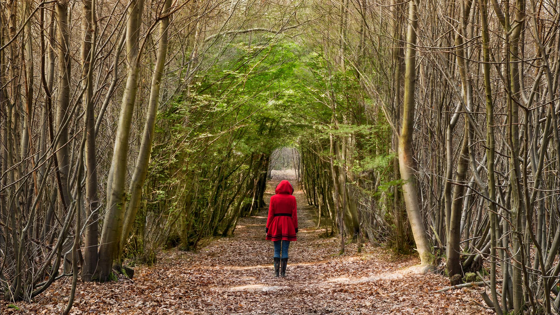 FALL INTO SPRING on Vimeo