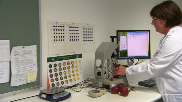 Flesh Firmness — Science Learning Hub