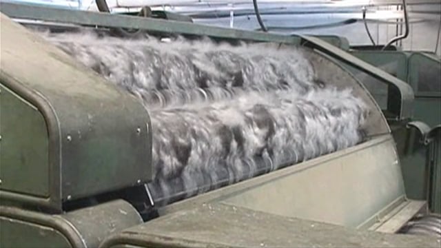 Carding — Science Learning Hub