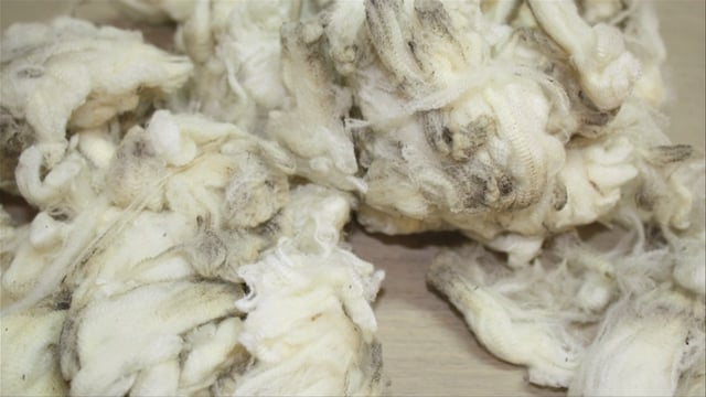 Worsted processing — Science Learning Hub