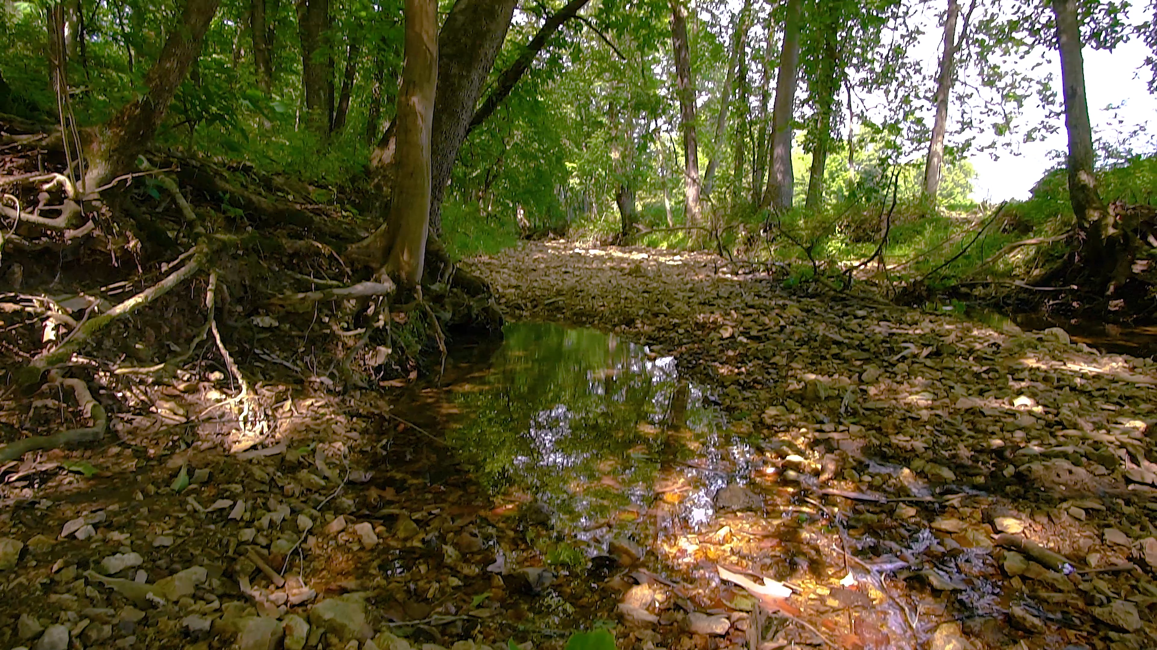 23752 Double Tree Lane, Truxton, MO on Vimeo