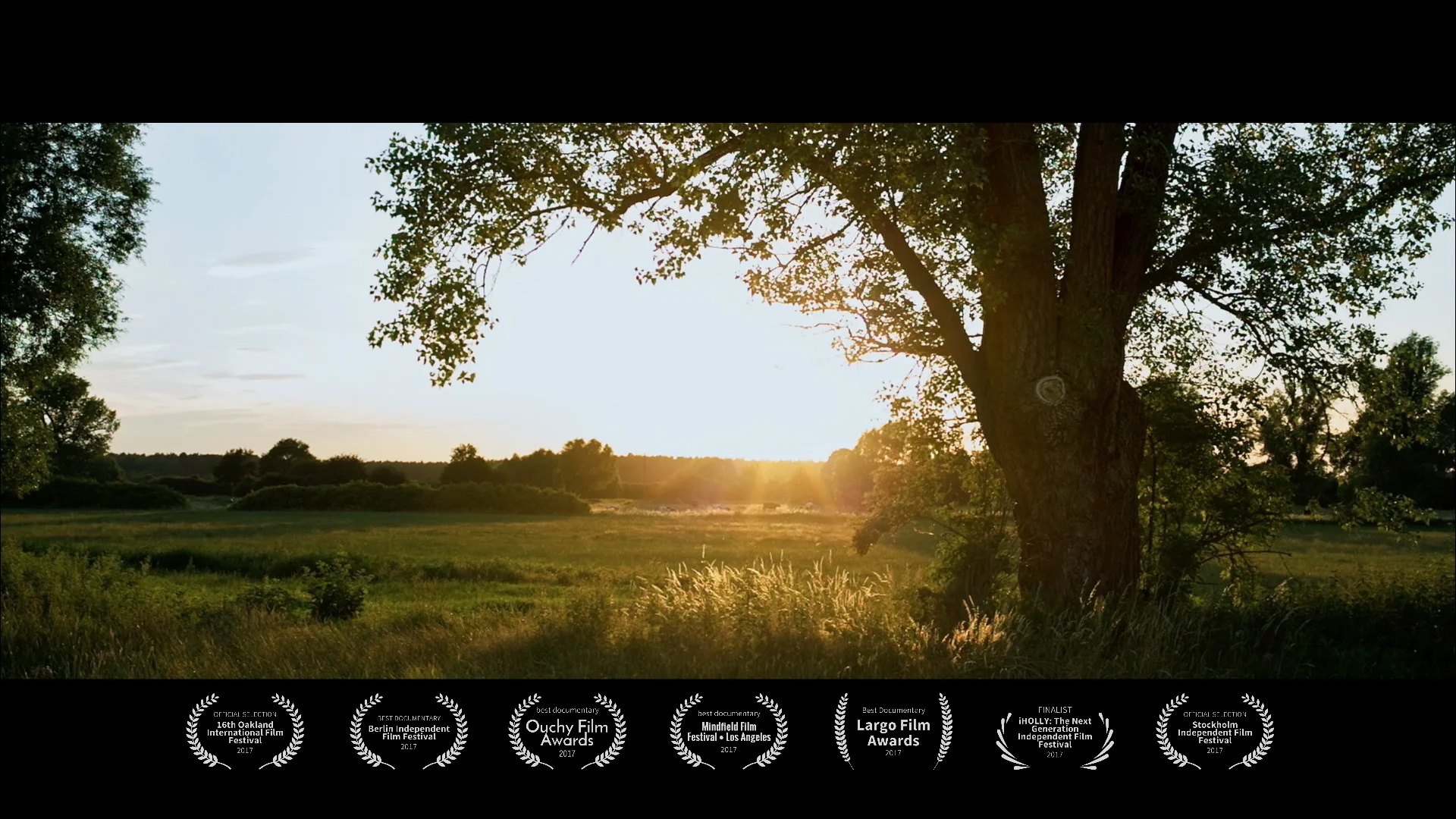 Watch Bonus - Reel Online | Vimeo On Demand on Vimeo