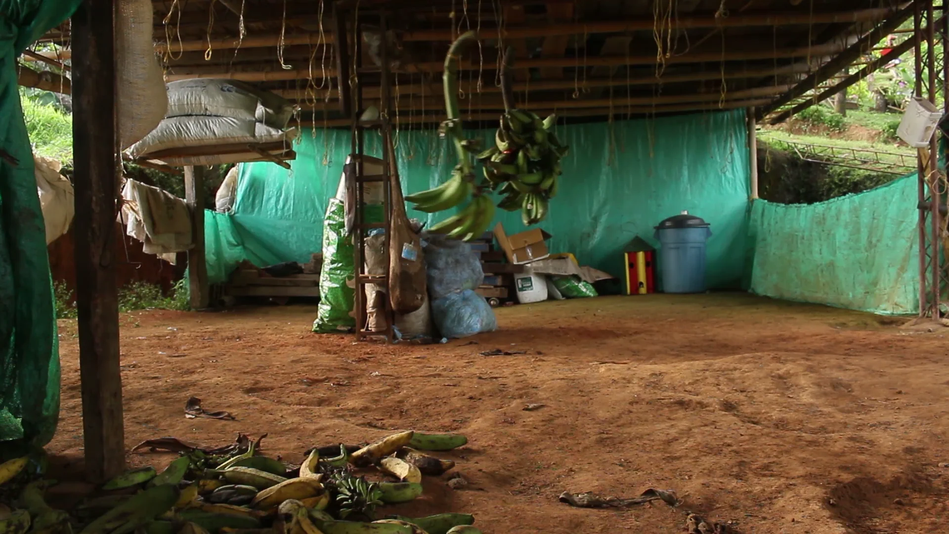 La leyenda del Guando on Vimeo