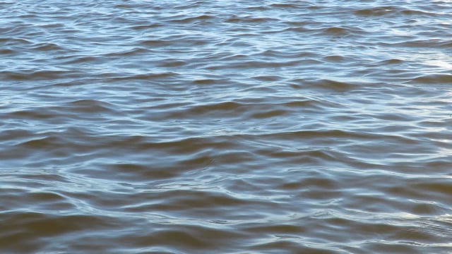 Water Flow, Sea, Waves. Free Stock Video - Pixabay