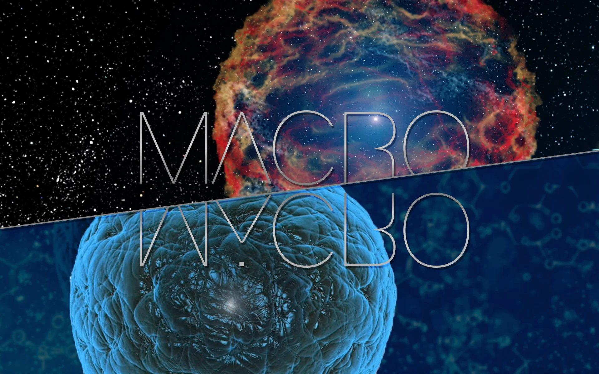 Macro/Micro: Part 3 on Vimeo