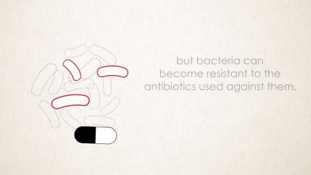 How bacteria develop resistance to antibiotics — Science Learning Hub