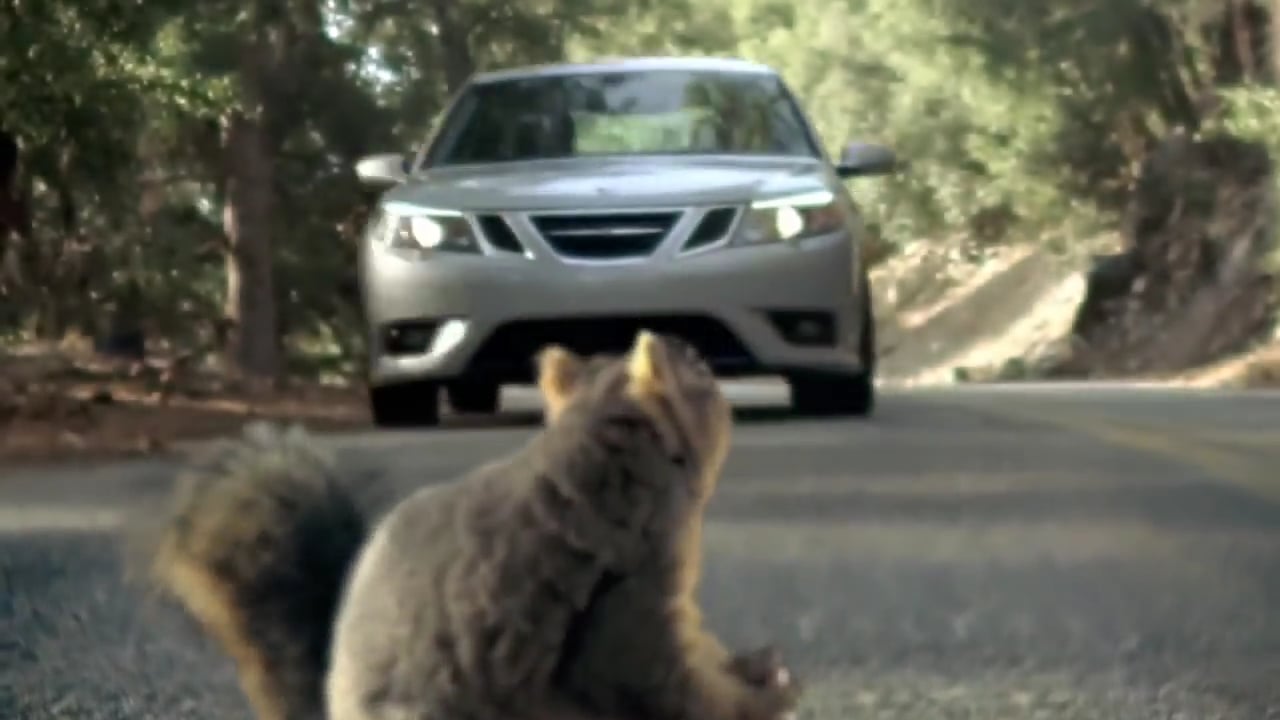 Bridgestone - Scream (2008, USA) on Vimeo