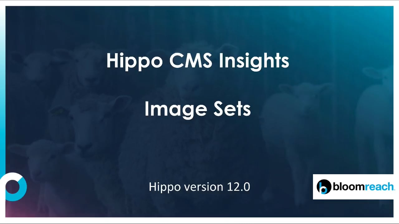 Image Sets in Hippo CMS on Vimeo