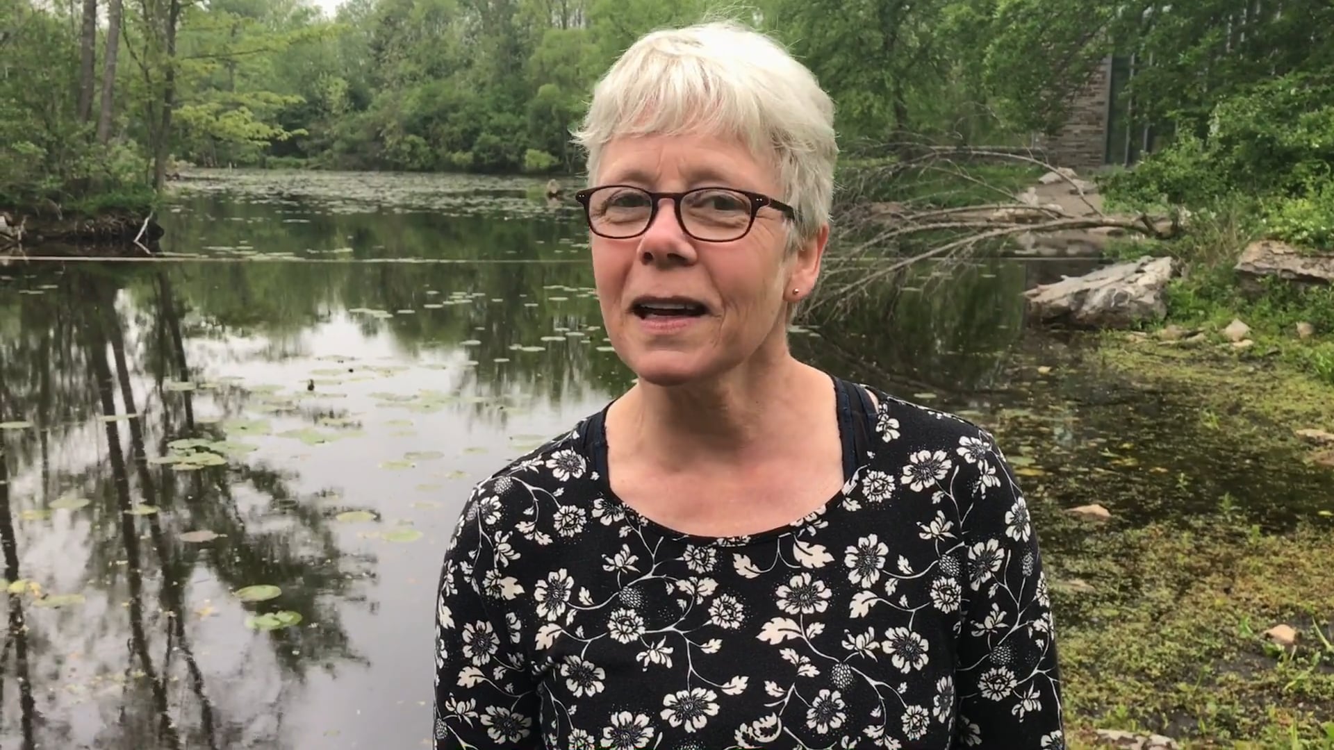 Karen Purcell _ Seminario de Ciencia Ciudadana on Vimeo