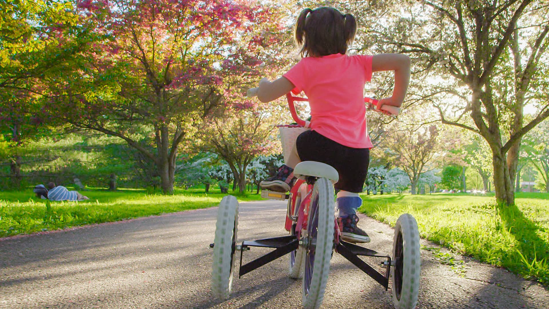 Freedom Ride | Film for Good, Volume 1 on Vimeo