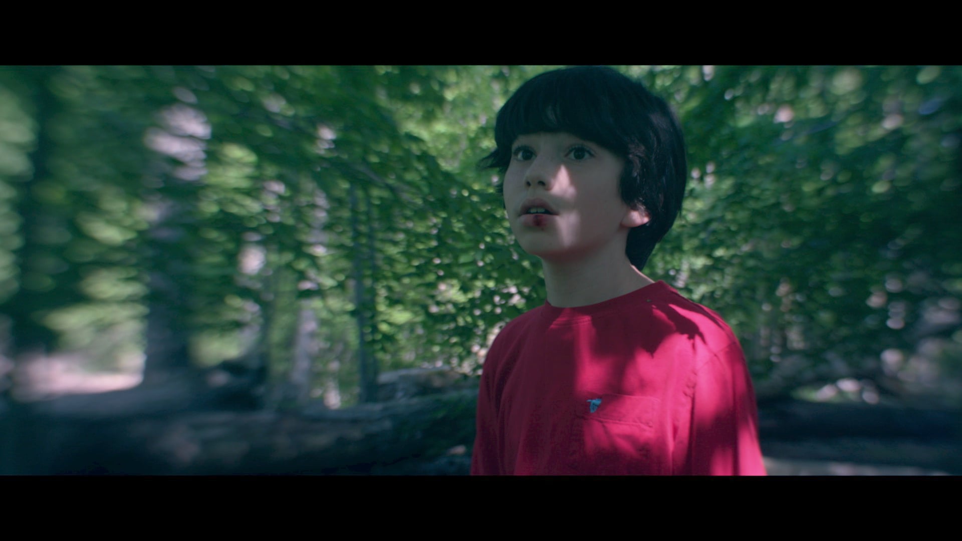 Almost Free on Vimeo