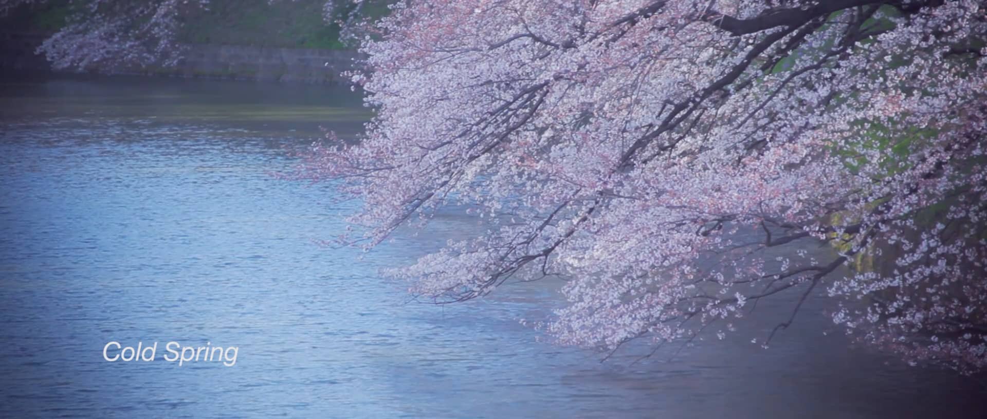 Cold Spring on Vimeo