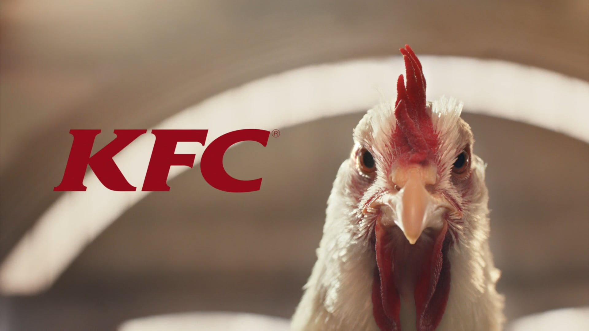 KFC 'The Whole Chicken' on Vimeo