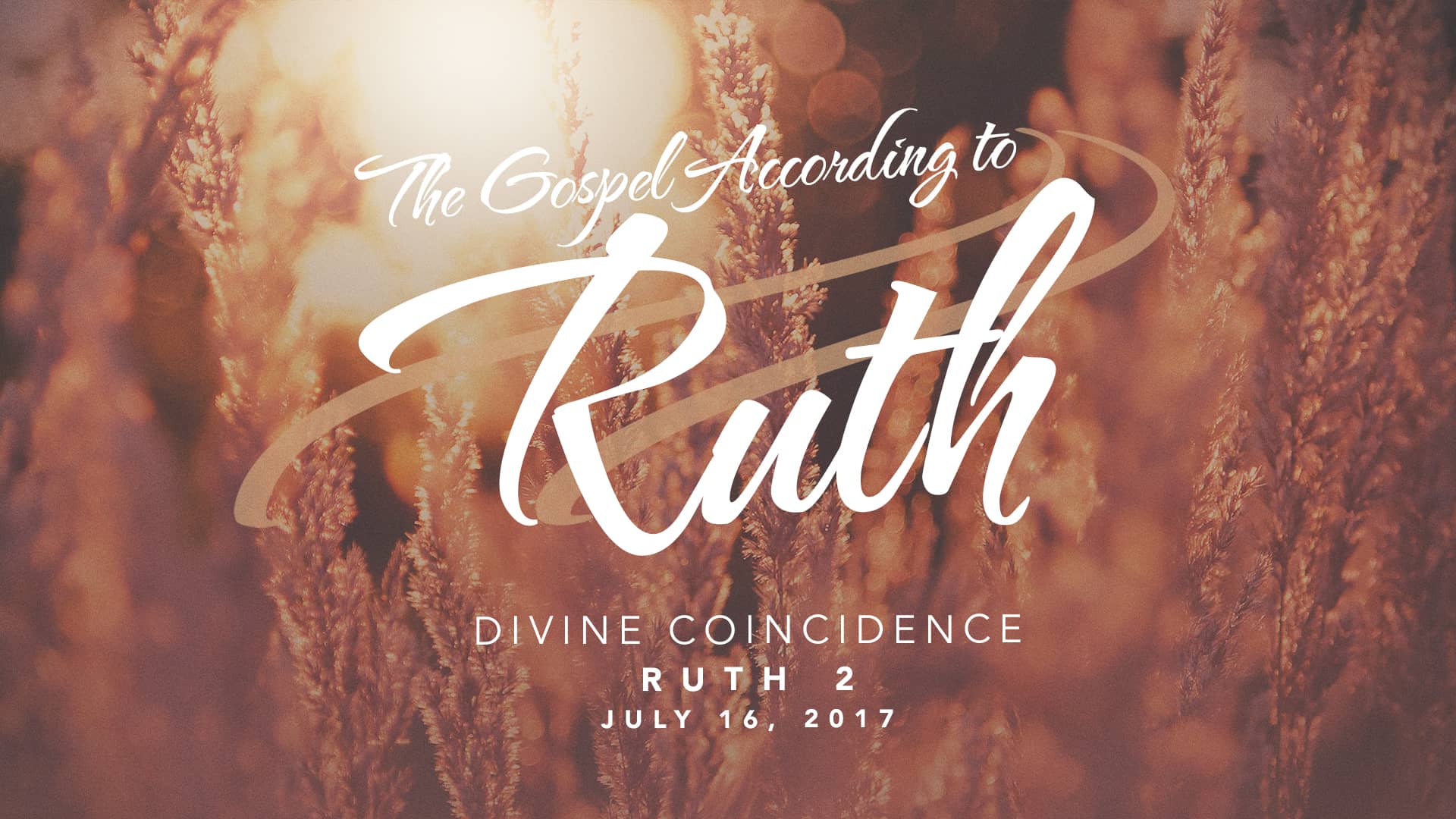 "Divine Coincidence" – Ruth, Part 3 on Vimeo