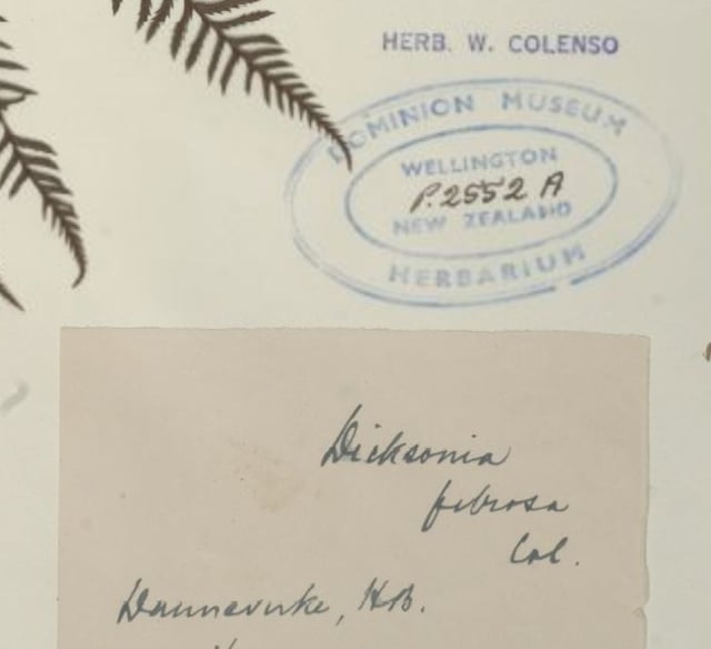 The value of early collections — Science Learning Hub