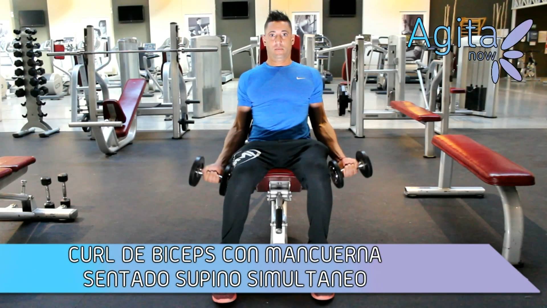 Curl de biceps con mancuerna sentado supino simultaneo (H) on Vimeo