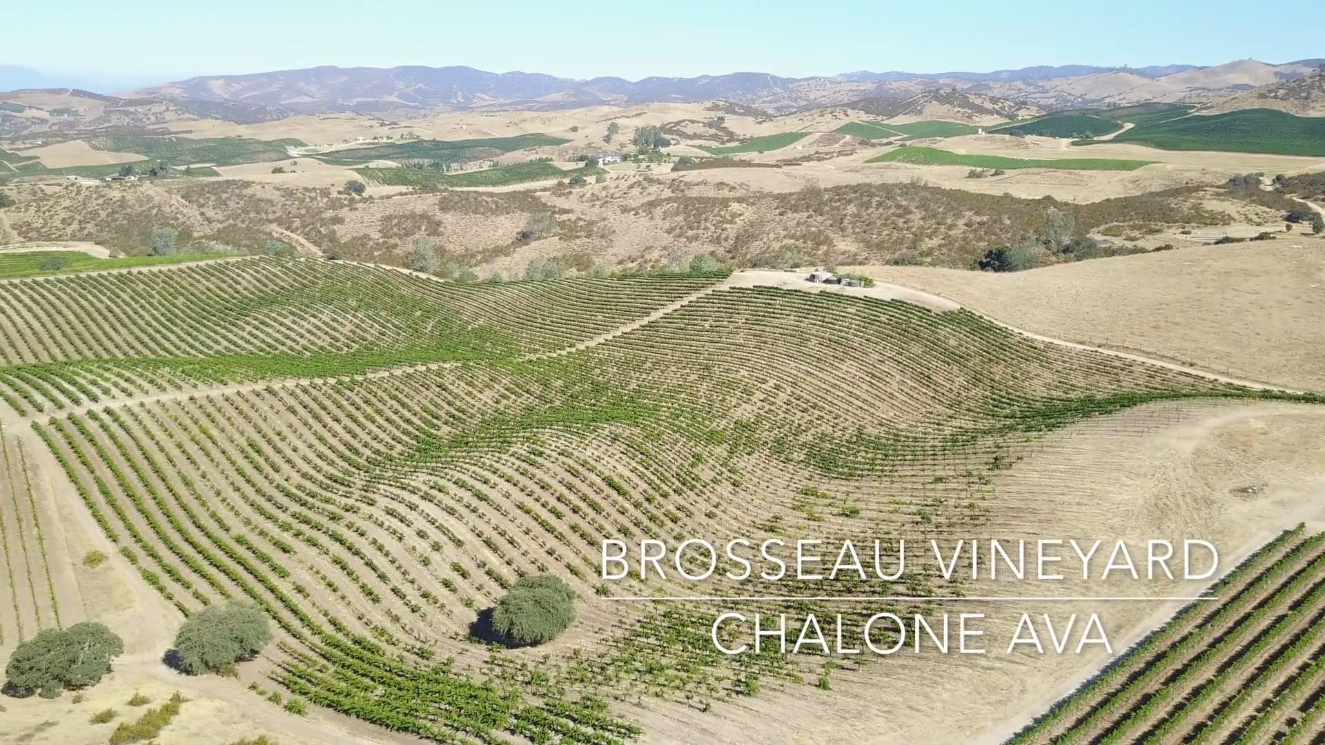 Brosseau Vineyard, Chalone AVA on Vimeo