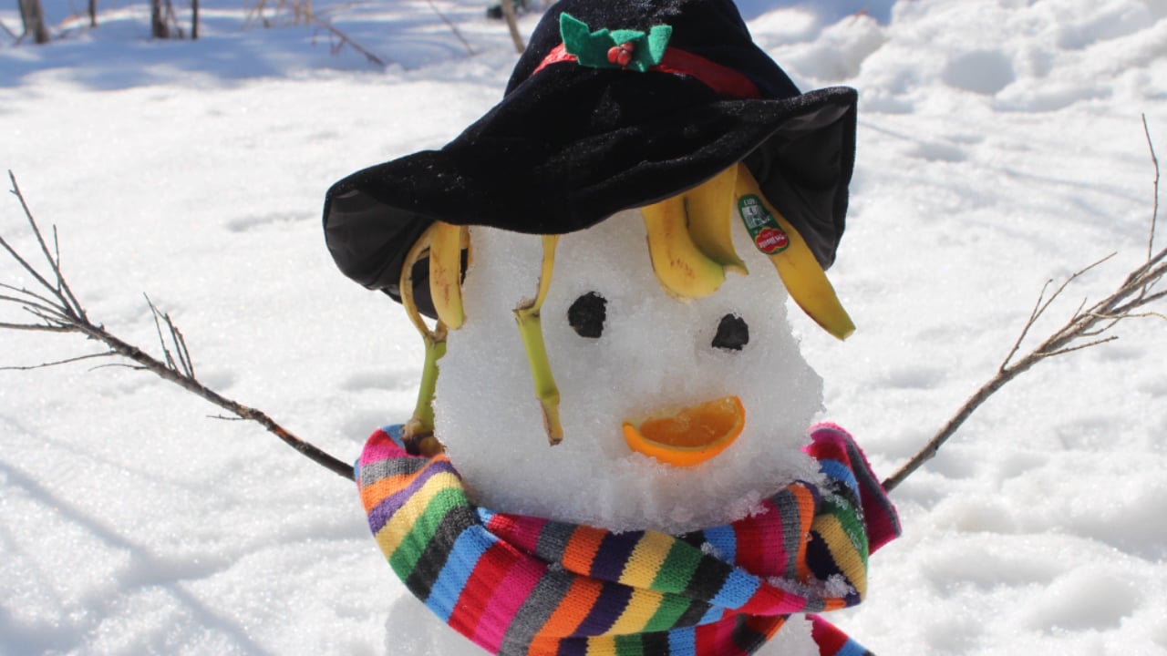 Ed and Ted the Story - ED and TED with Credits on Vimeo