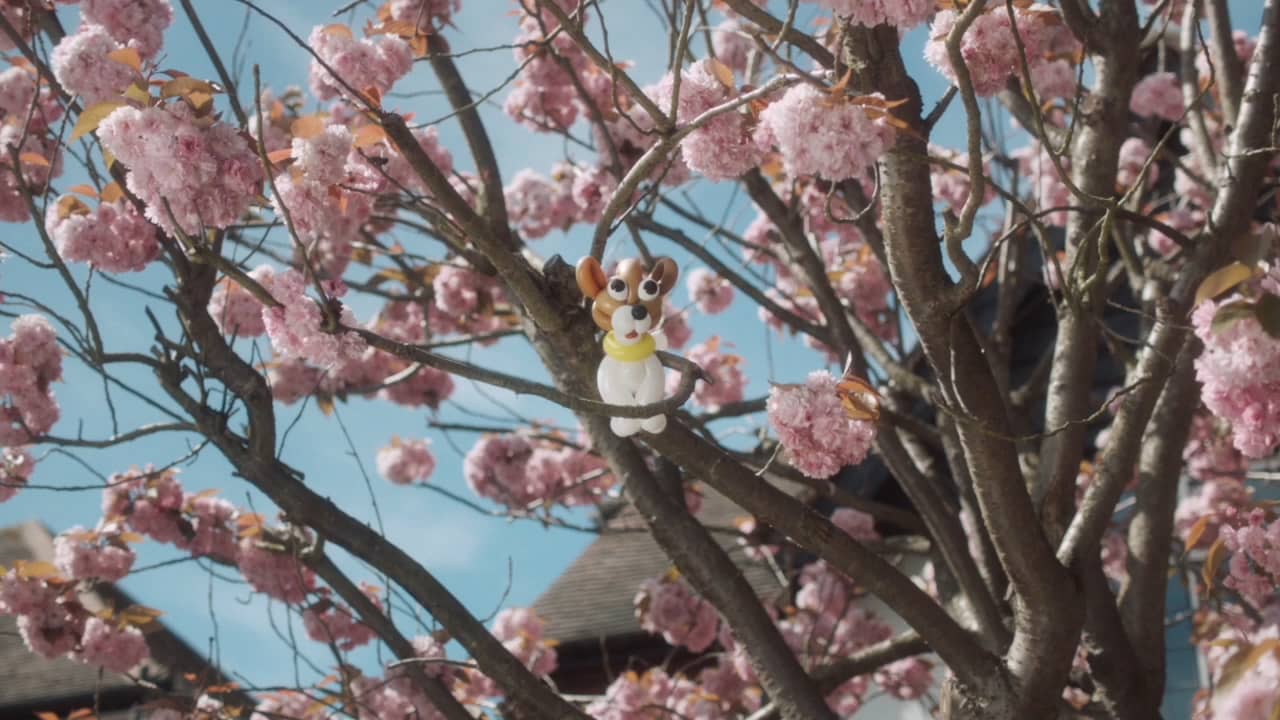 Dogs Trust 'Balloon Doggy' - Sound by Munzie Thind on Vimeo