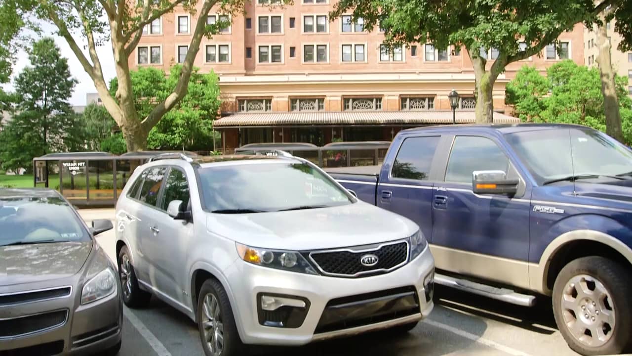 Pitt Panther Central - Scarlett O'Hara - Lothrop Hall on Vimeo