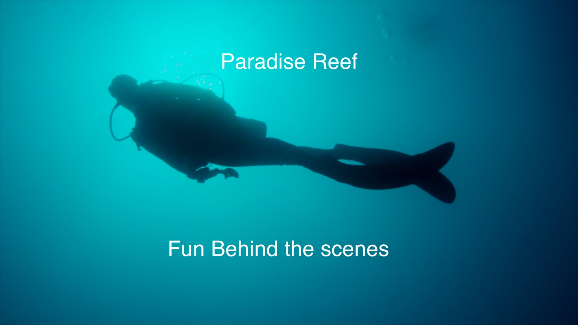 PARADISE REEF BEHIND THE SCENES on Vimeo