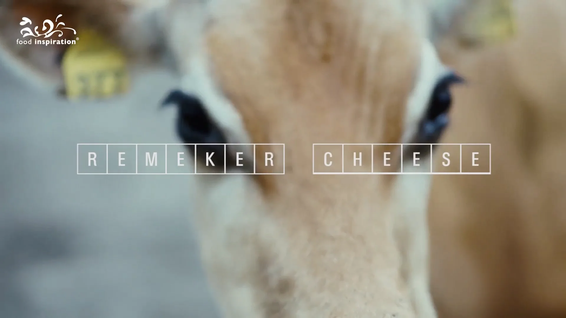 FIM INT27 Terroir | Remeker Cheese on Vimeo