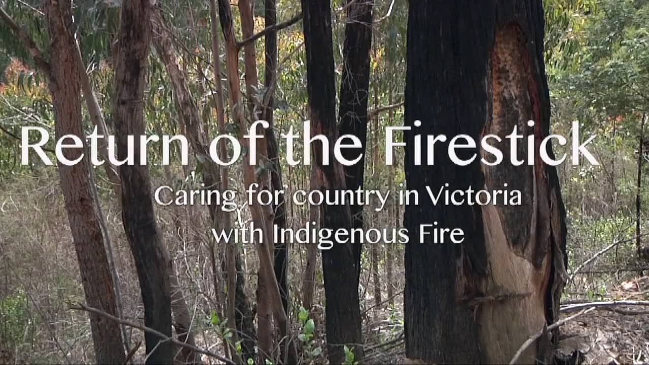 Return of The Firestick - Caring for Country in Victoria with ...