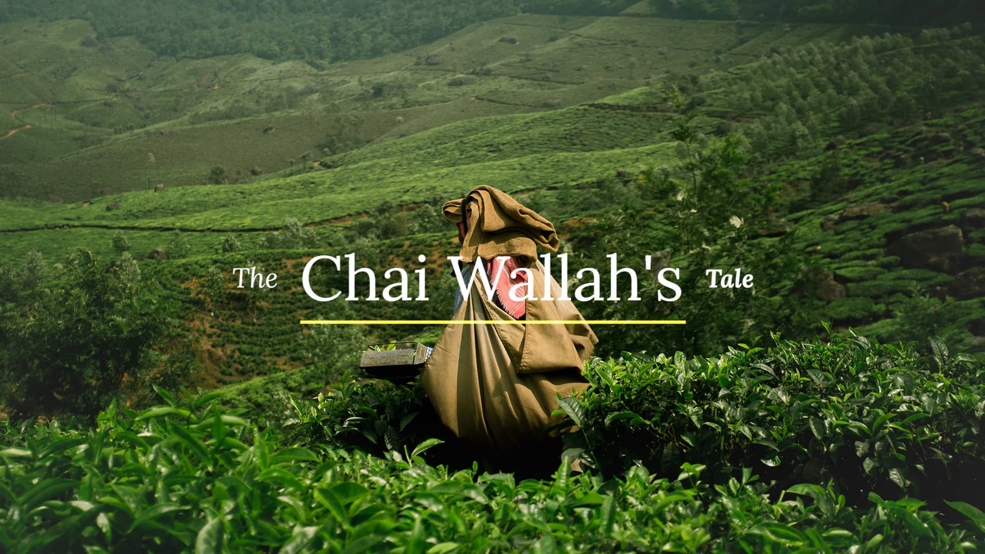 The Chai Wallah's Tale on Vimeo
