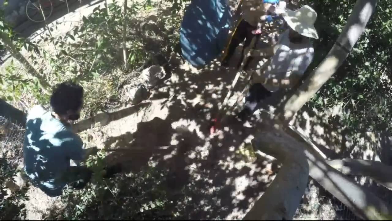 Compostagem em Cilindro on Vimeo