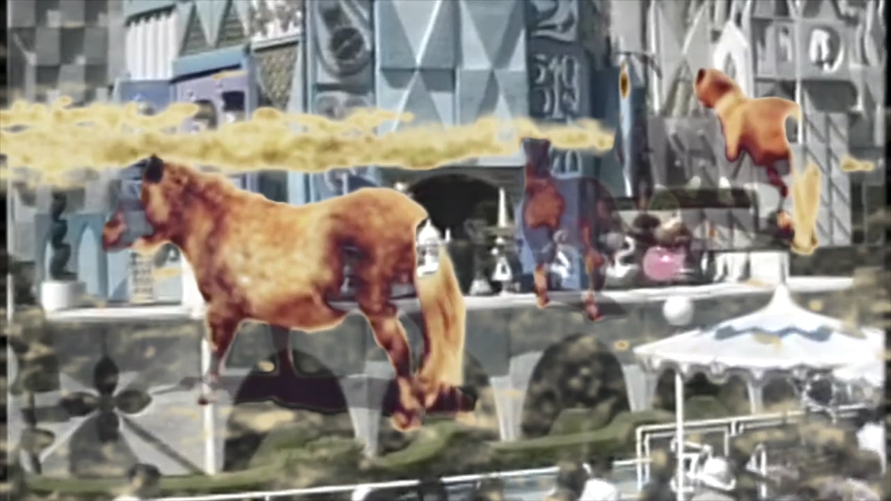 PETS on Vimeo
