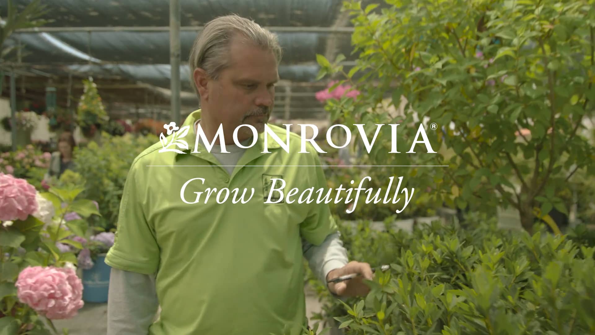 Monrovia Plants - Wegman's Nursery on Vimeo
