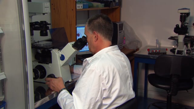 Capsule size and strength tests — Science Learning Hub