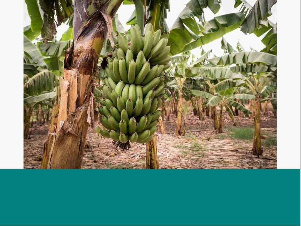 Interview of George Gitau on Vimeo