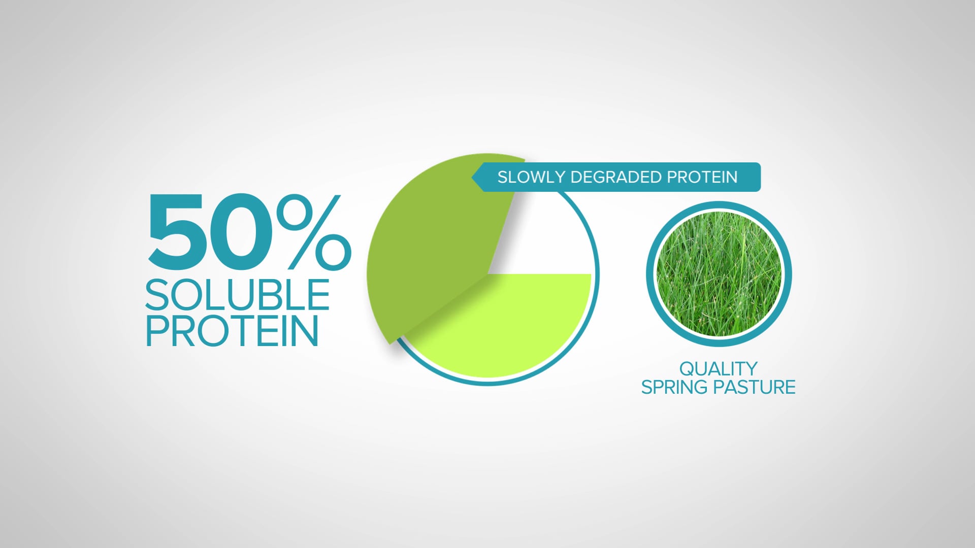 DairyNZ FeedRight Series - "The Role of Protein". on Vimeo