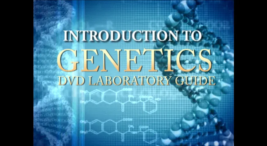 Watch INTRODUCTION TO GENETICS LABORATORY: DVD GUIDE Online | Vimeo On ...