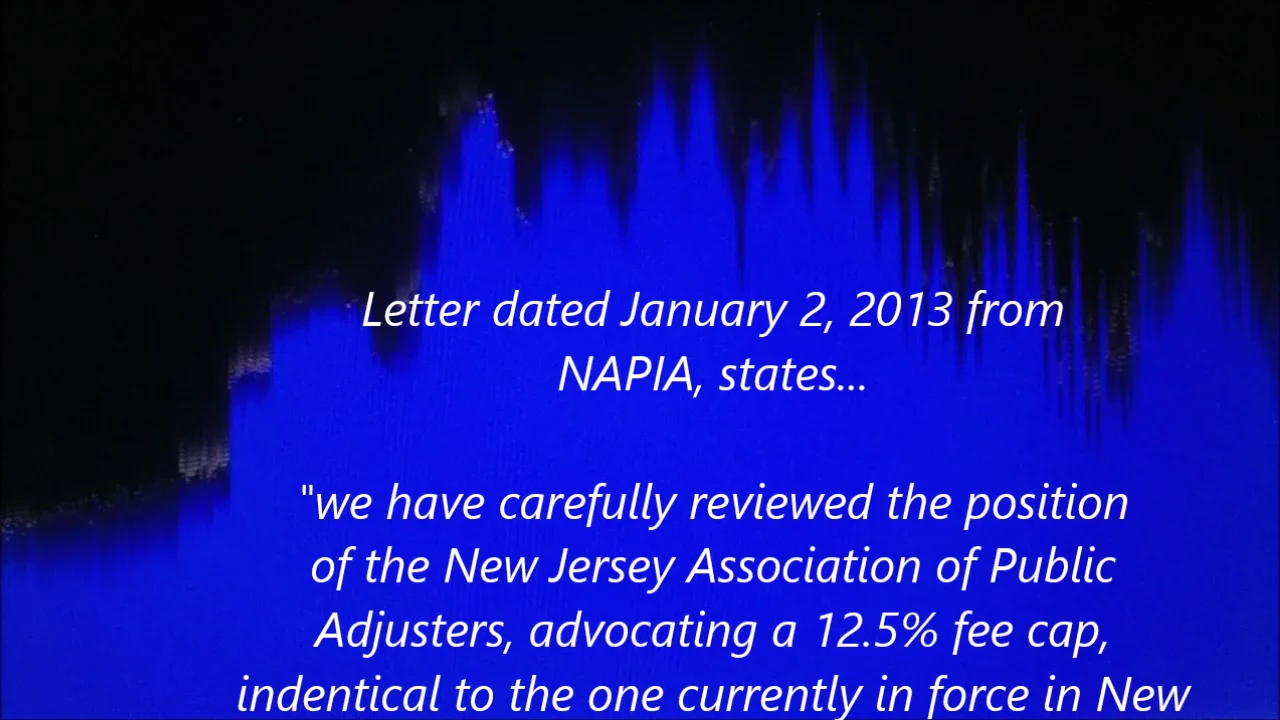 NJPIA & NAPIA Testimony on Vimeo