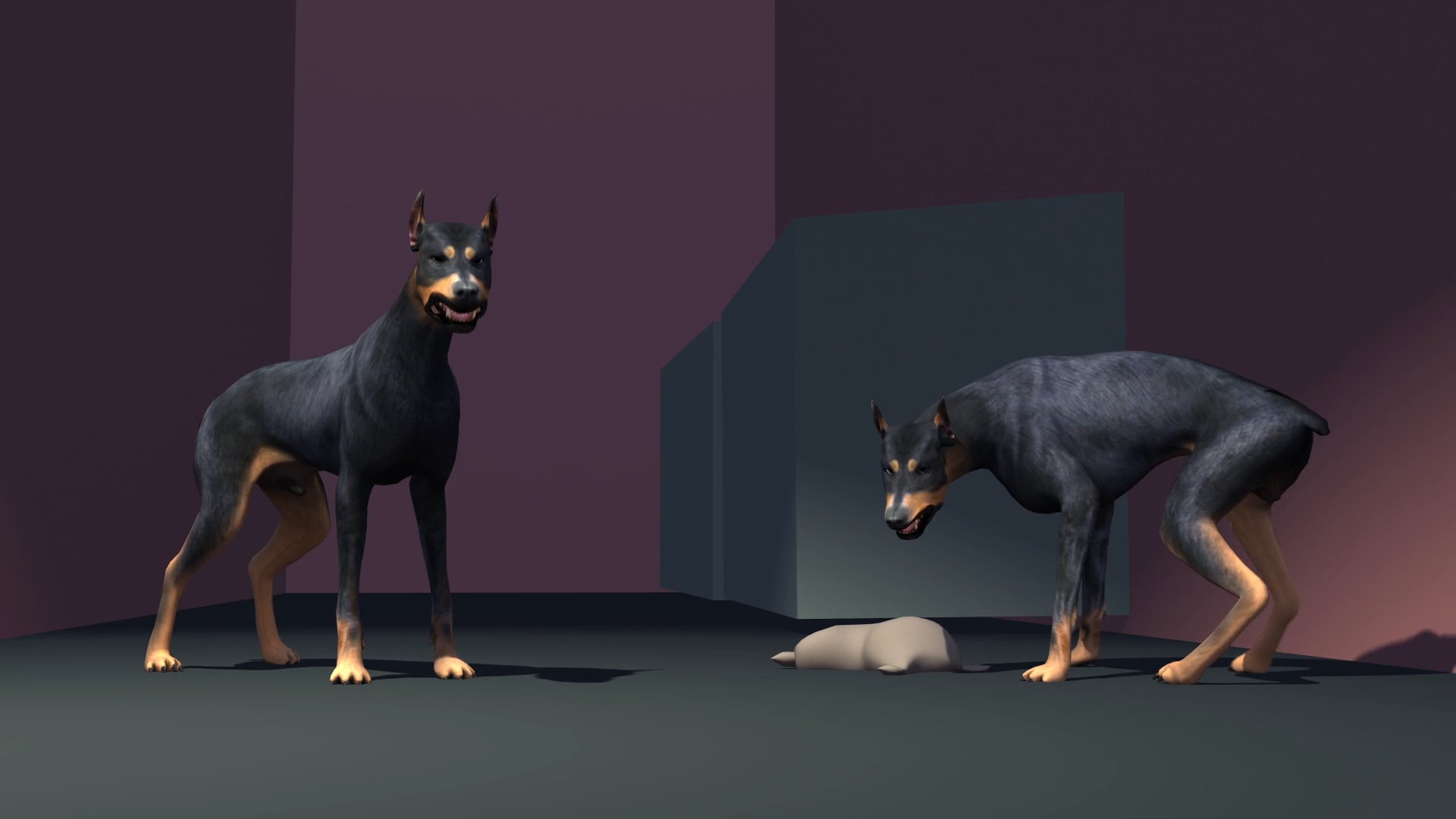 Doberman animation on Vimeo