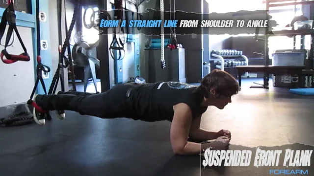 Front Plank Muscles Worked