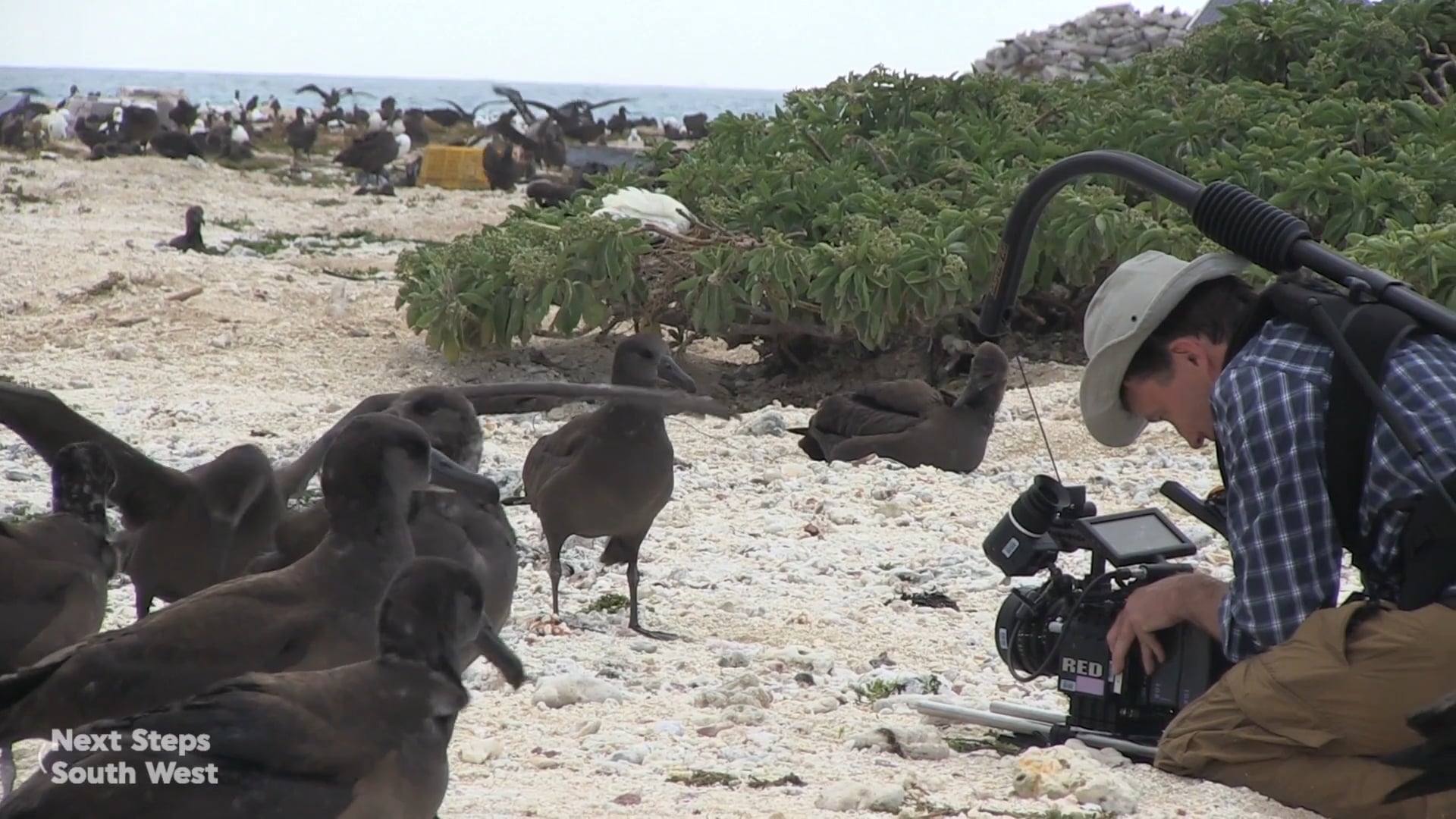 There are opportunities (in Cornwall) - Ellen Husain on Vimeo