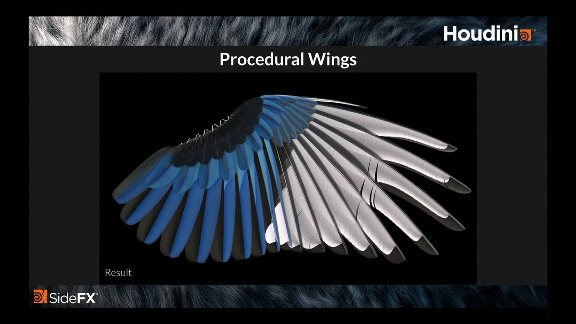 SideFX Intern Program - Feather Tools | Tighe Rzankowski | Houdini Hive ...