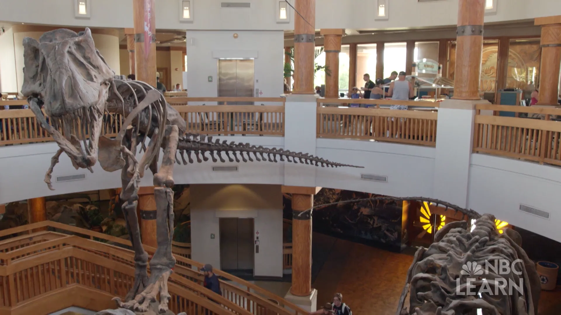 NBC Learn. The Science of Universal. Jurassic Park