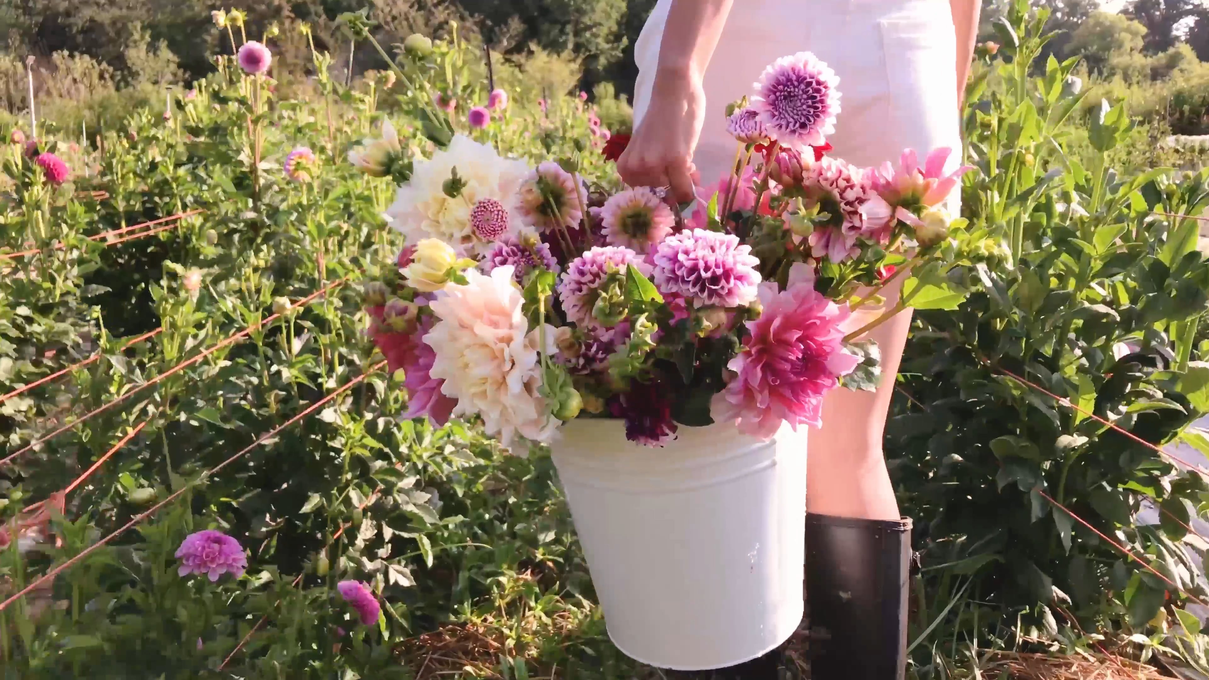Flourish Flower Farm on Vimeo