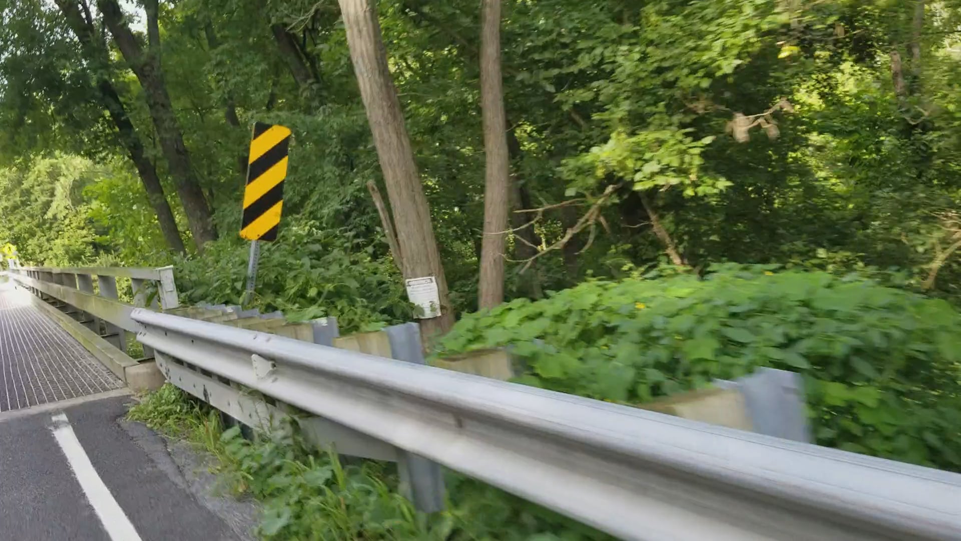 Zhertzpro24 Biking Down Big Hill 38mph 8/617 on Vimeo
