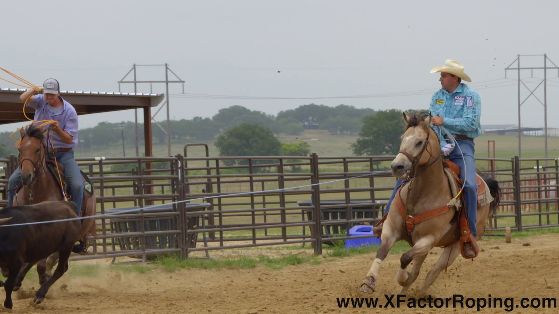 Handling Cattle with David Key | X Factor Roping