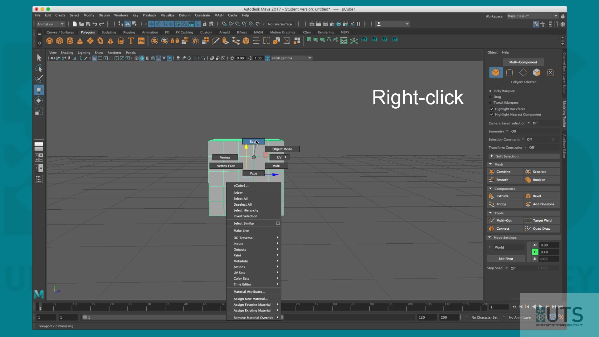 3D Maya Basic Modeling on Vimeo
