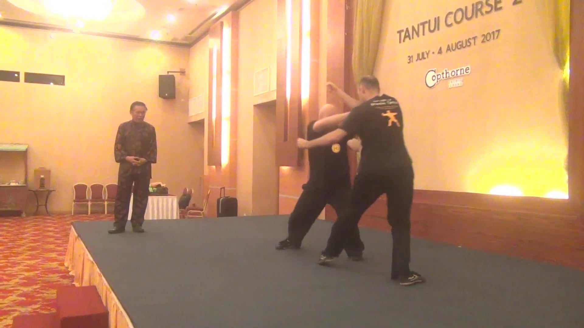 Learning Tantui Advanced Combat Sequence 1 -- Thrust Punch on Vimeo