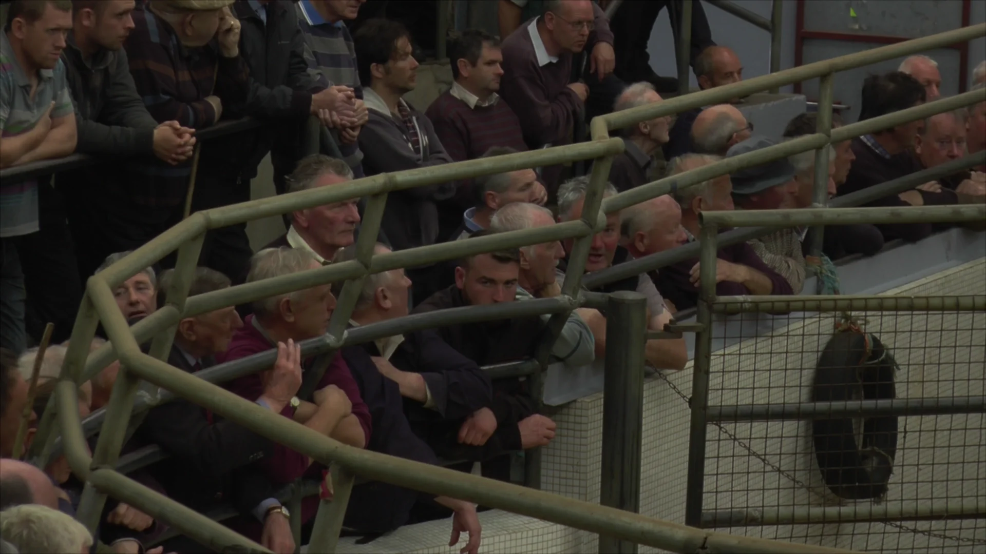 Castlerea mart video report on Vimeo