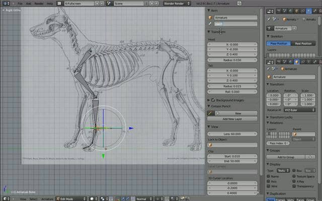 Rigging a dog's foreleg on Vimeo