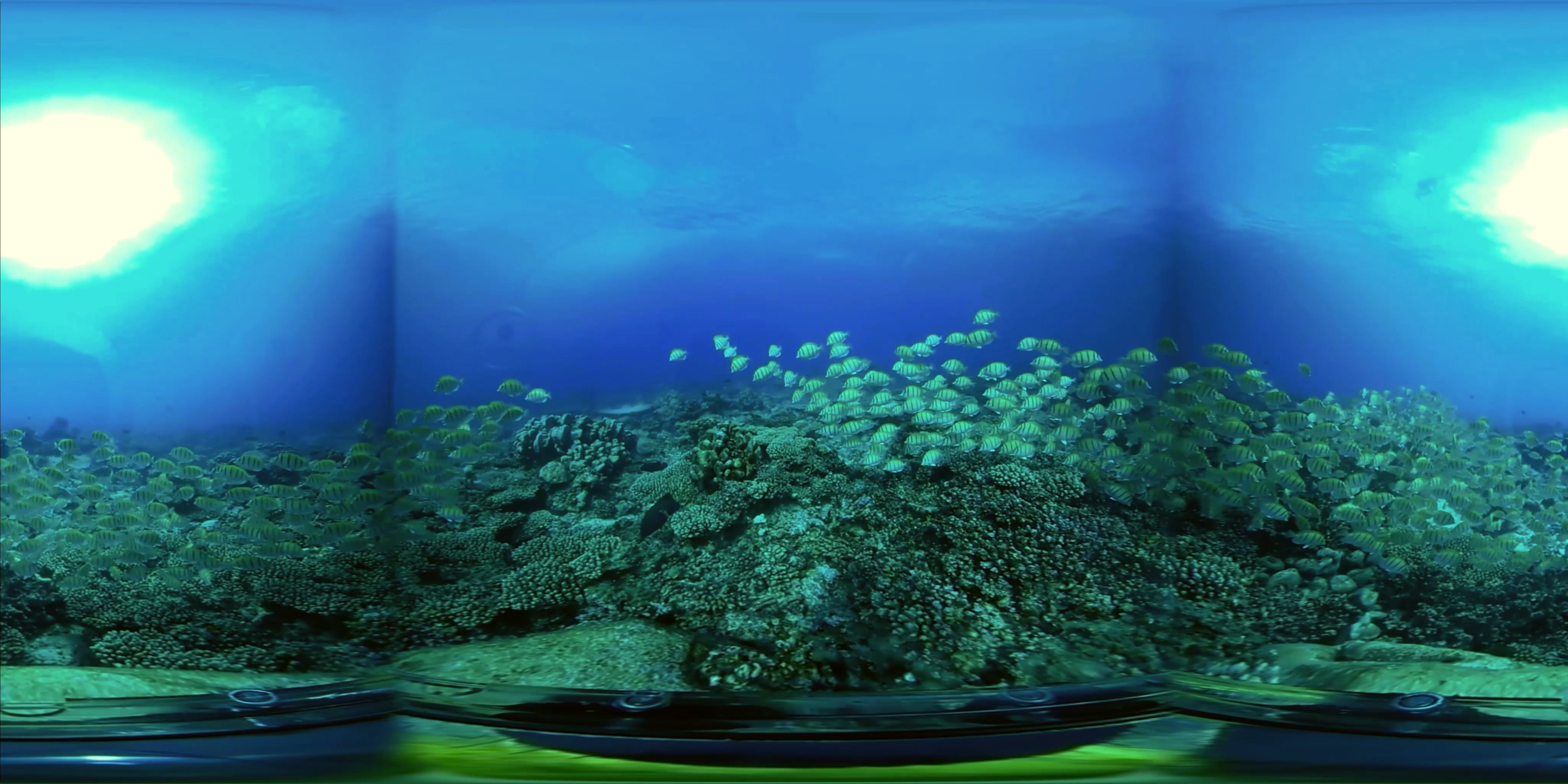 Convict Surgeons around 360bubble with Samsung Gear 360 on Vimeo